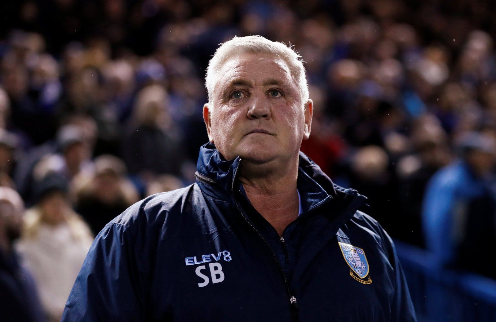 Sheffield Wednesday: Bruce is the perfect man to lead the Owls back to ...