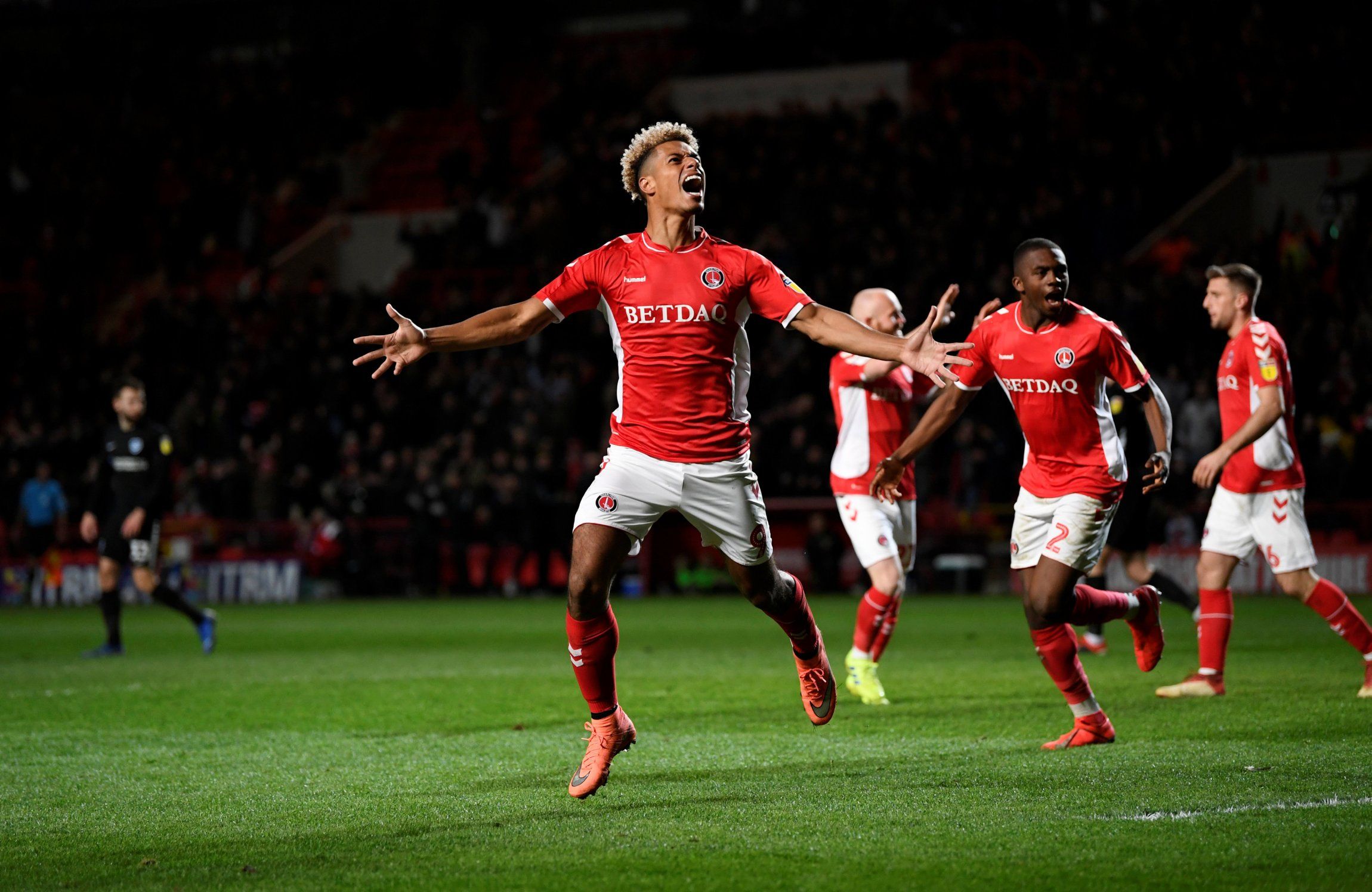 Lyle Taylor has been one of English football's best summer signings