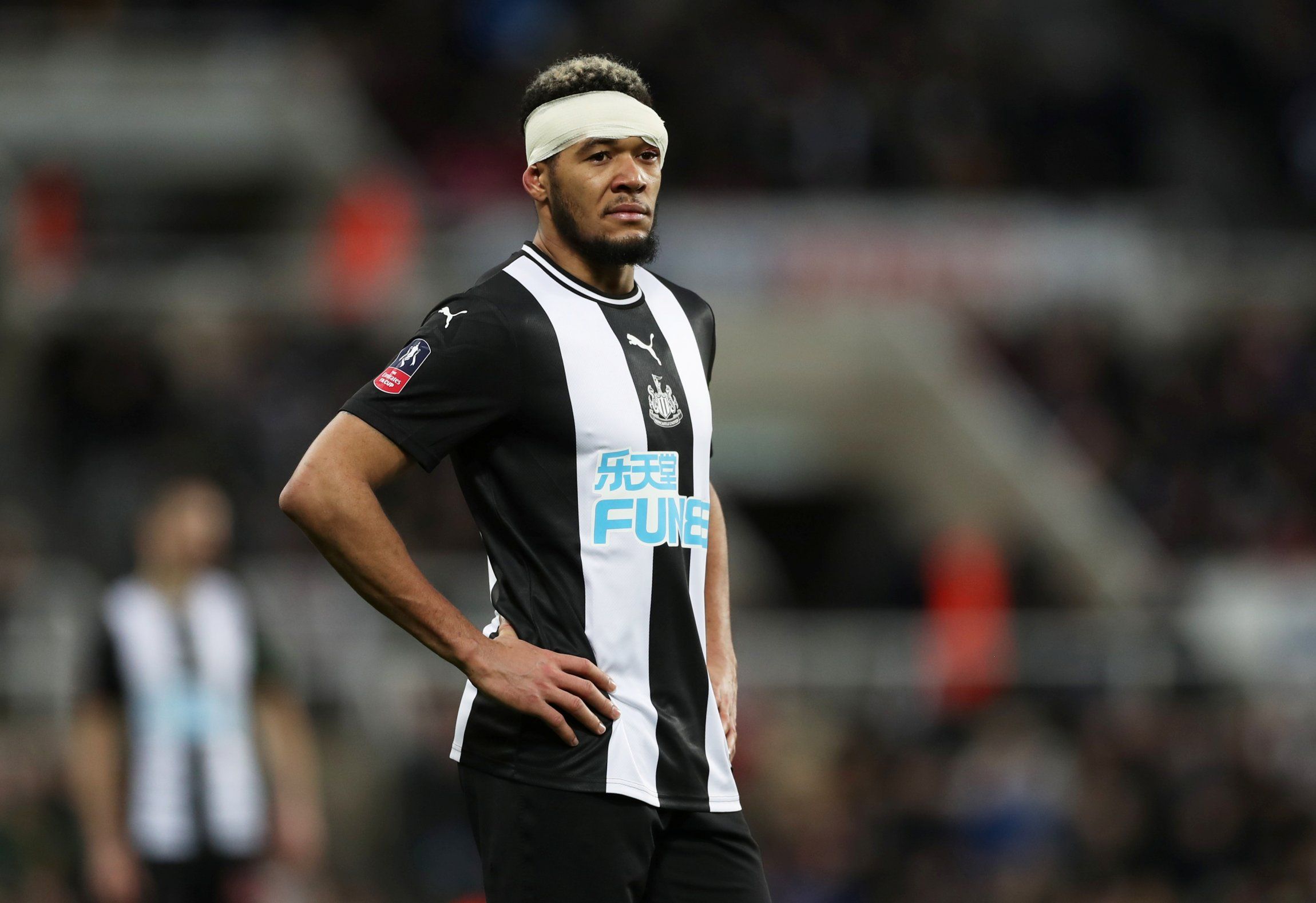 Newcastle fans discuss Chronicle article on Joelinton