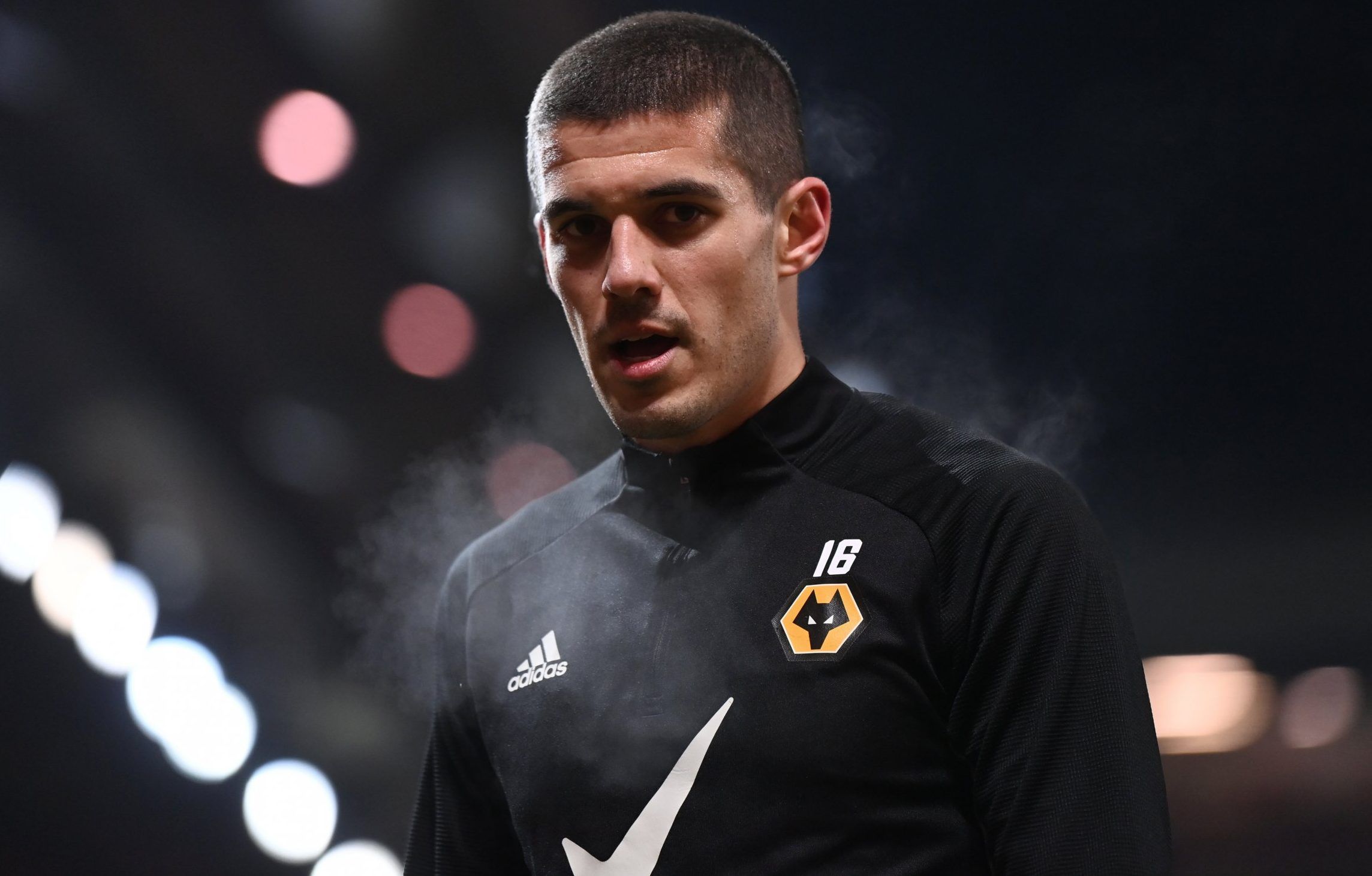 Spurs open talks to sign Wolves star