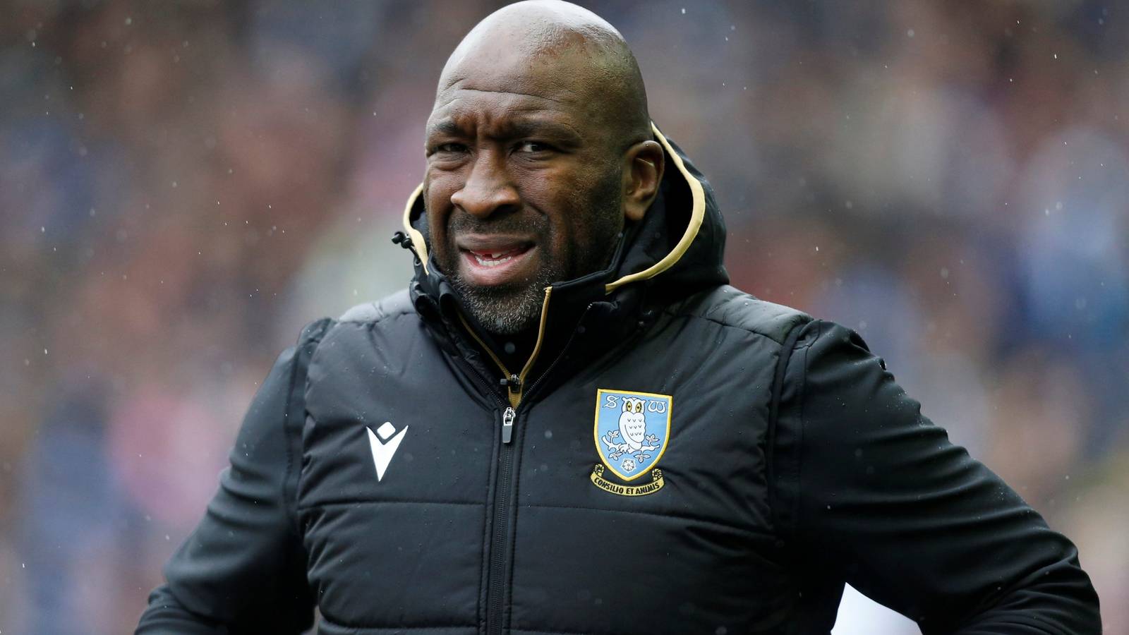 Sheffield Wednesday: Dom Howson makes claim on Darren Moore’s future