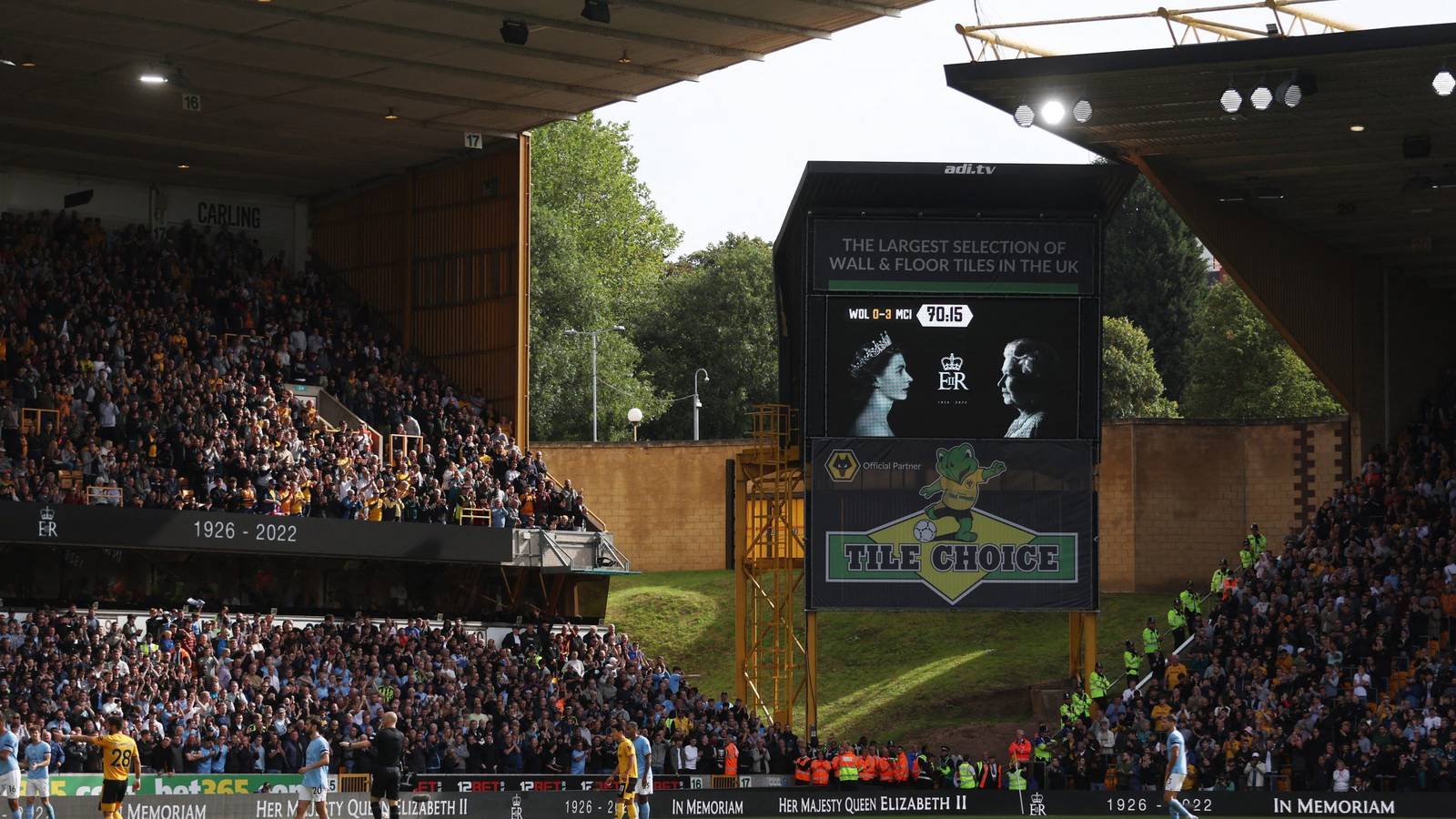 Wolves set to unleash Joe Hodge vs Forest