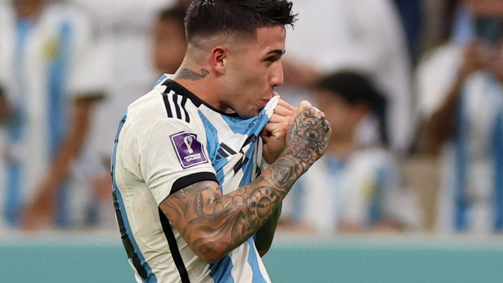 Newcastle must move for WC star, Fernandez