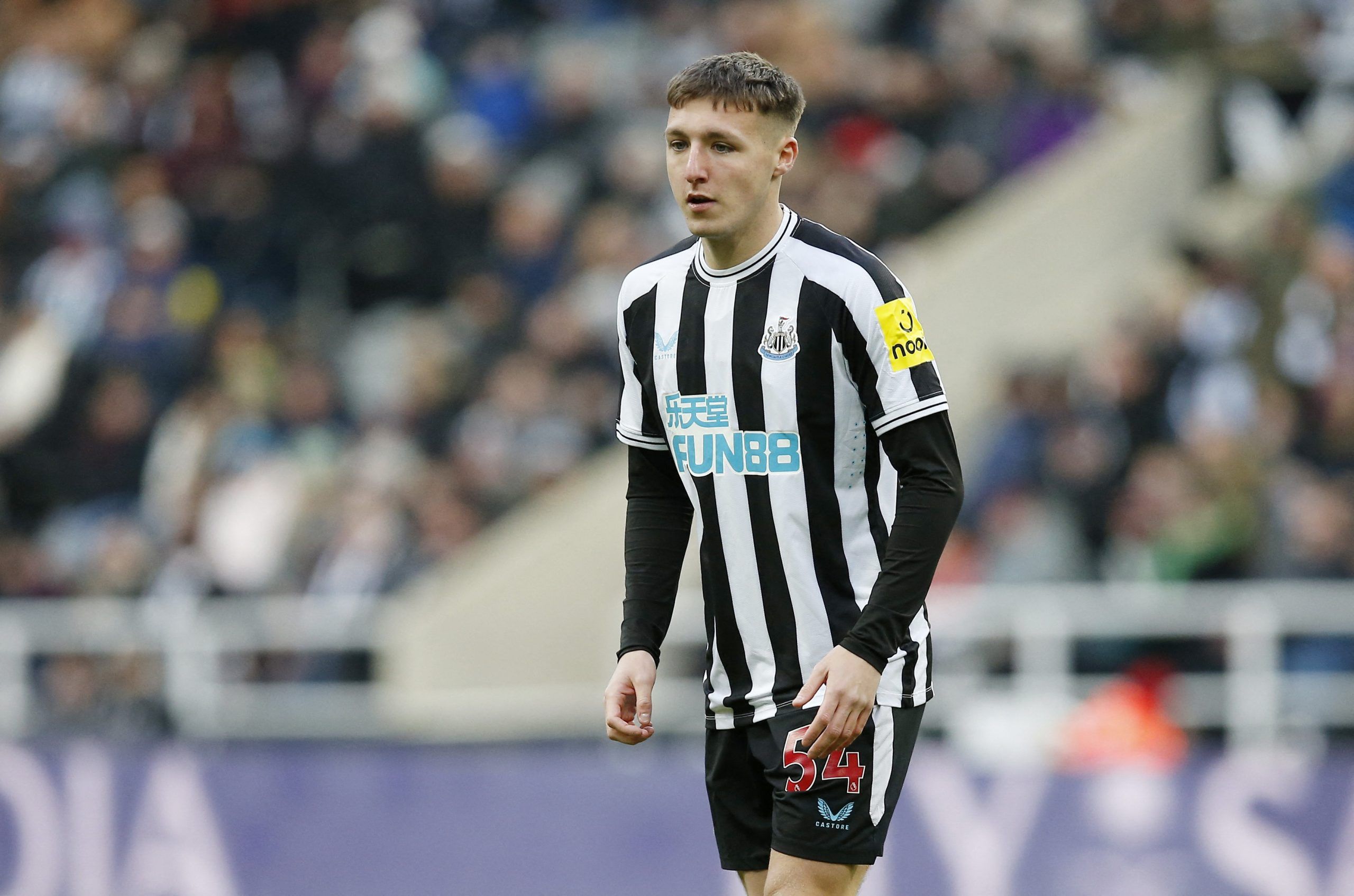 Newcastle: Howe must unleash Stephenson