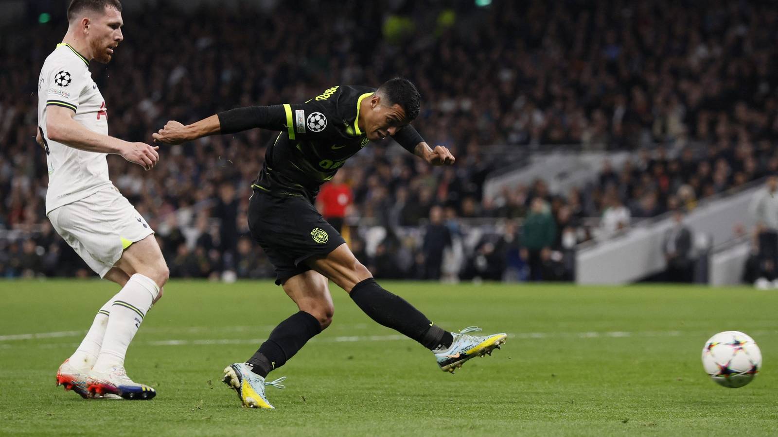 Spurs: Romano drops Porro update