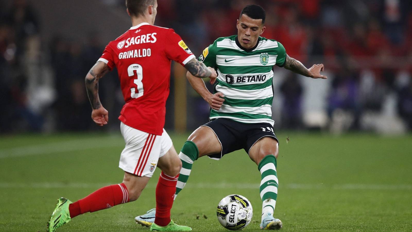 Spurs expected to push through Porro deal