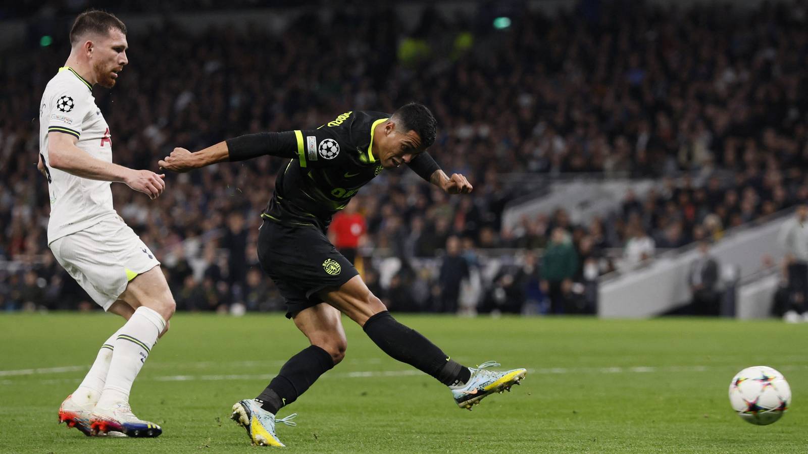 Tottenham holding new Porro talks 'today'