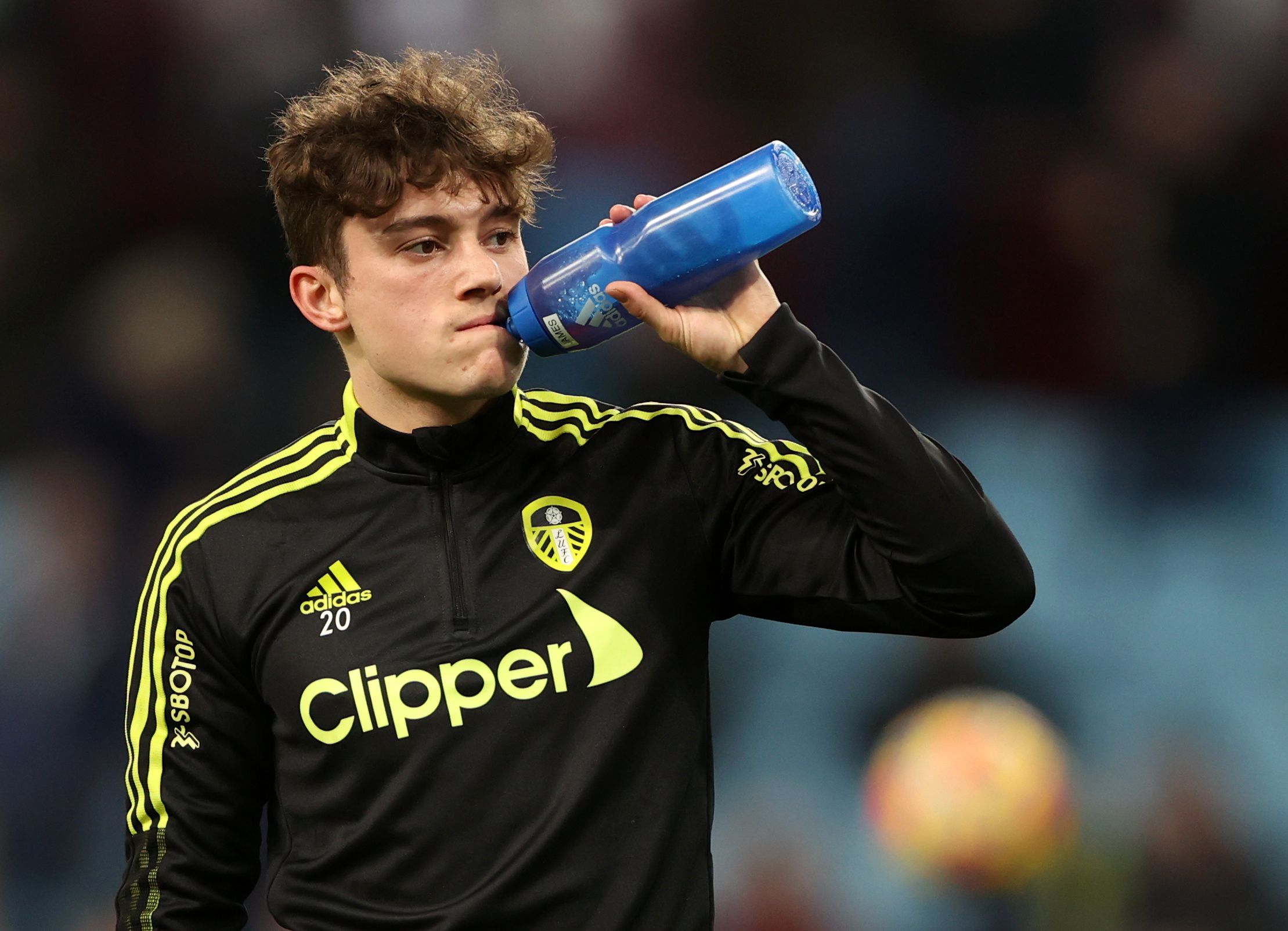 Leeds have been rinsed by Bielsa signing who has cost £7m per goal