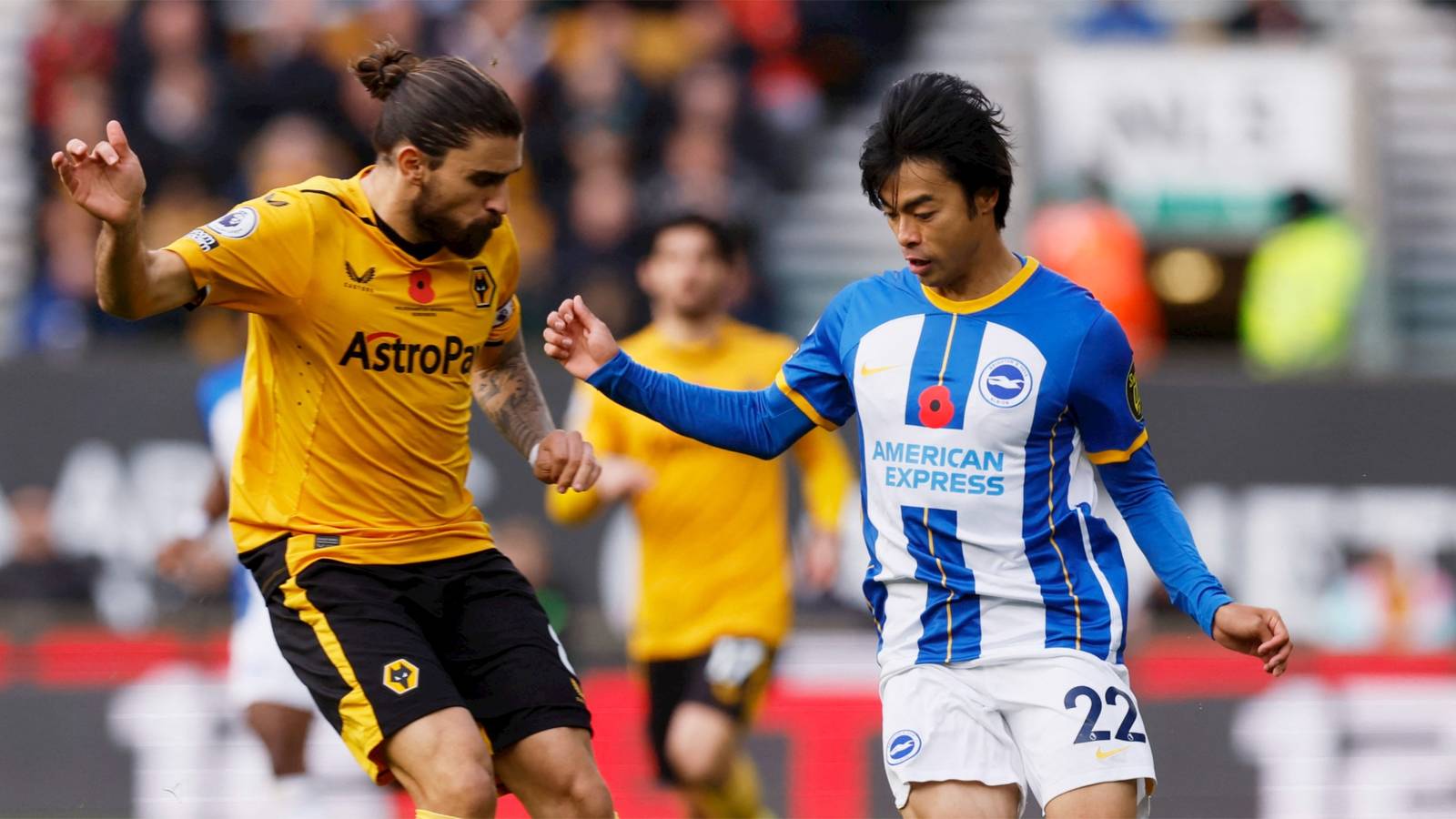 Wolves vs Brighton: Head-to-head record, key stats & more