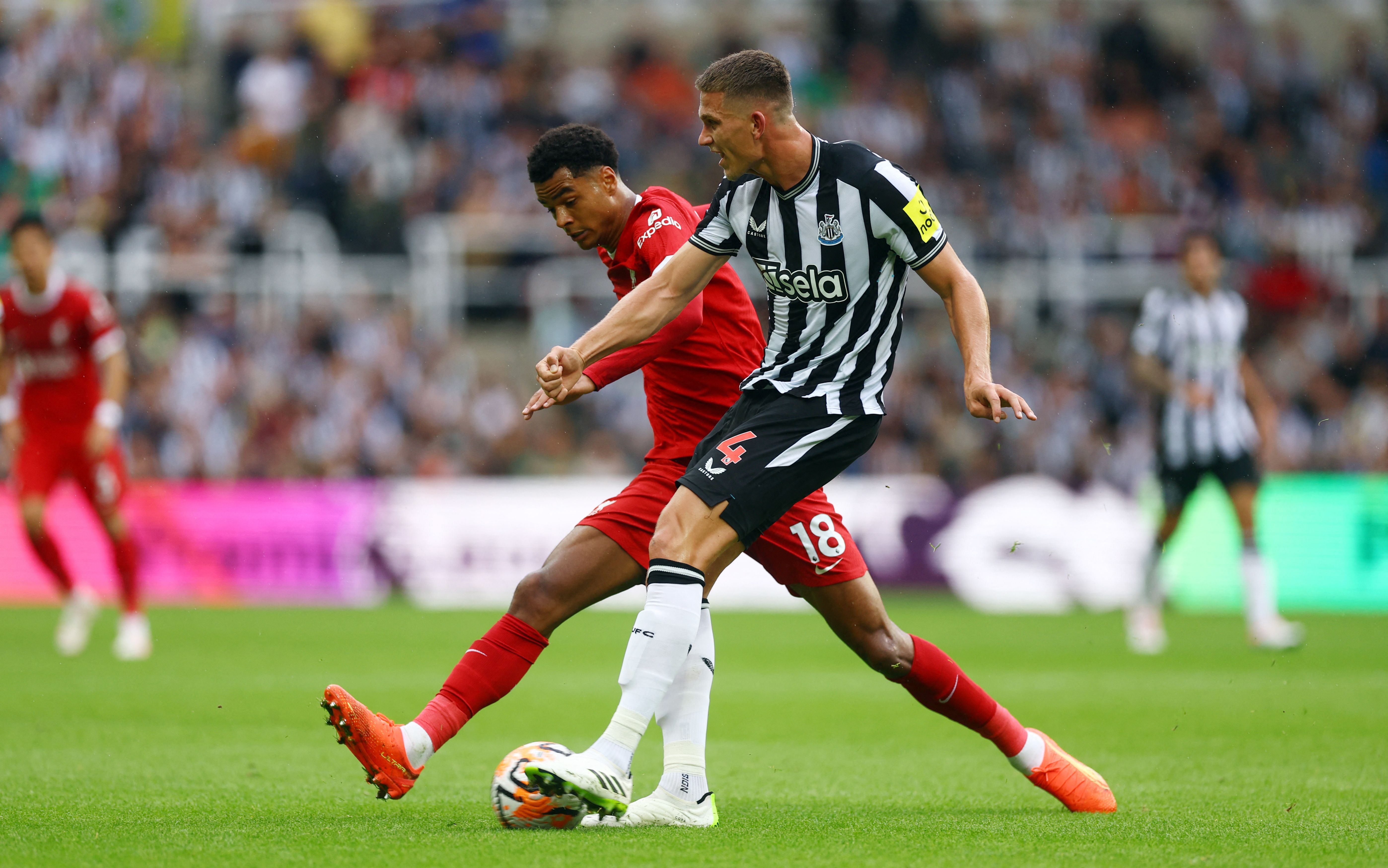 Newcastle United Injury Update On Sven Botman - Report