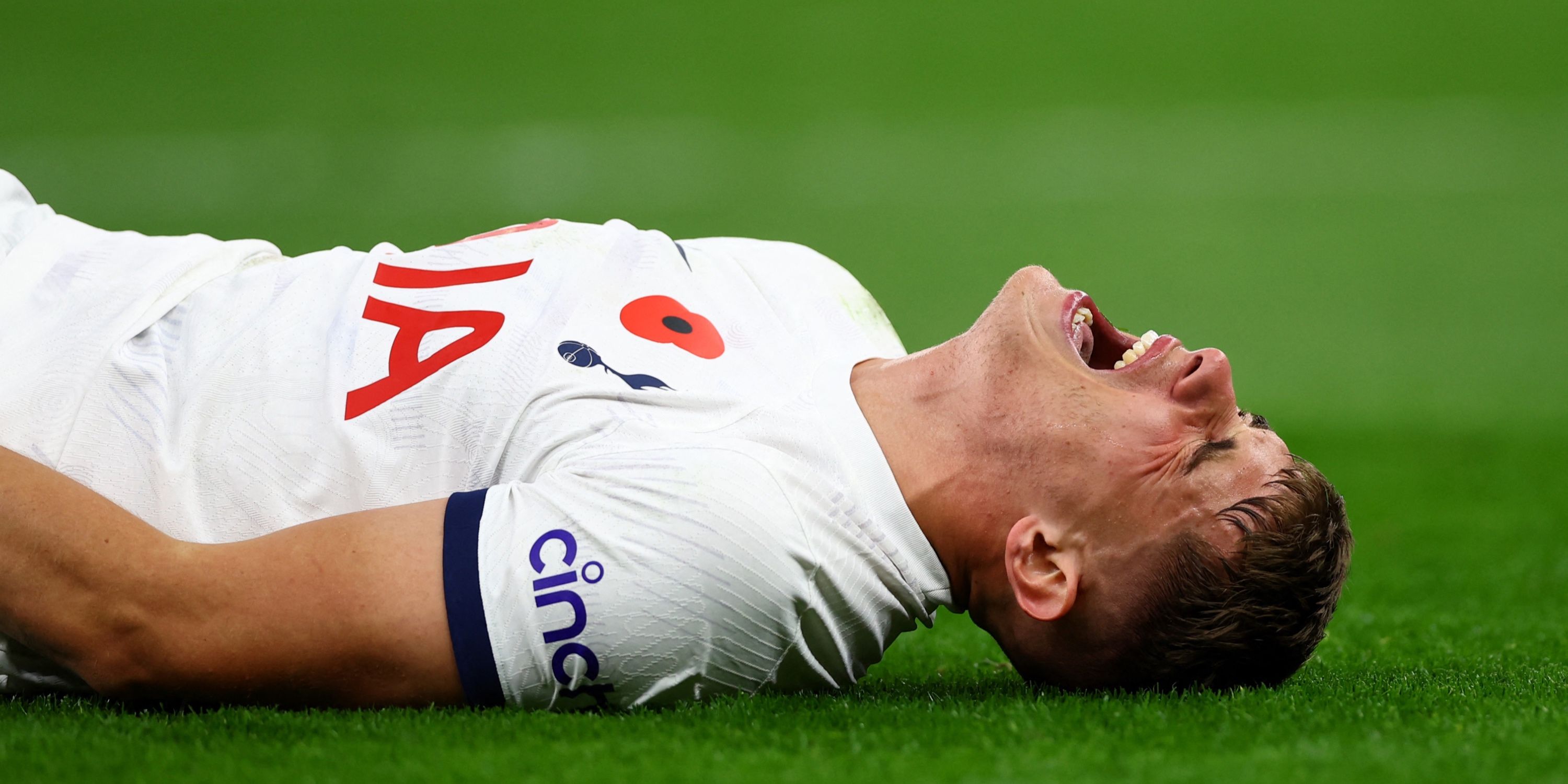 Spurs could combat Van de Ven blow by swooping for £30m "Rolls-Royce"