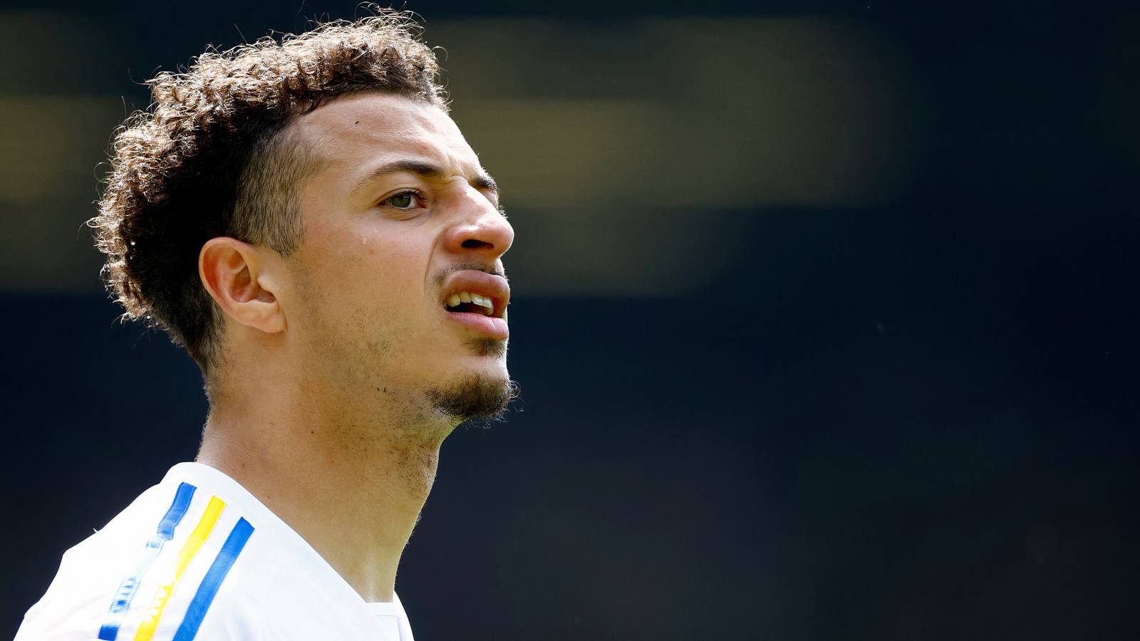 Leeds have another Ampadu brewing & Farke thinks he's "very talented"