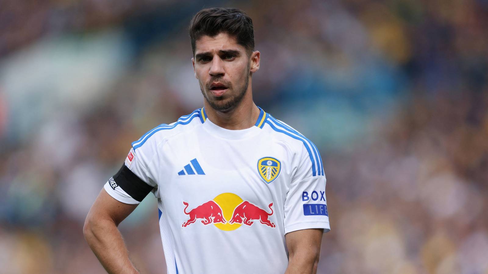 The original Solomon: Leeds loan ace was compared to Henry, then he flopped