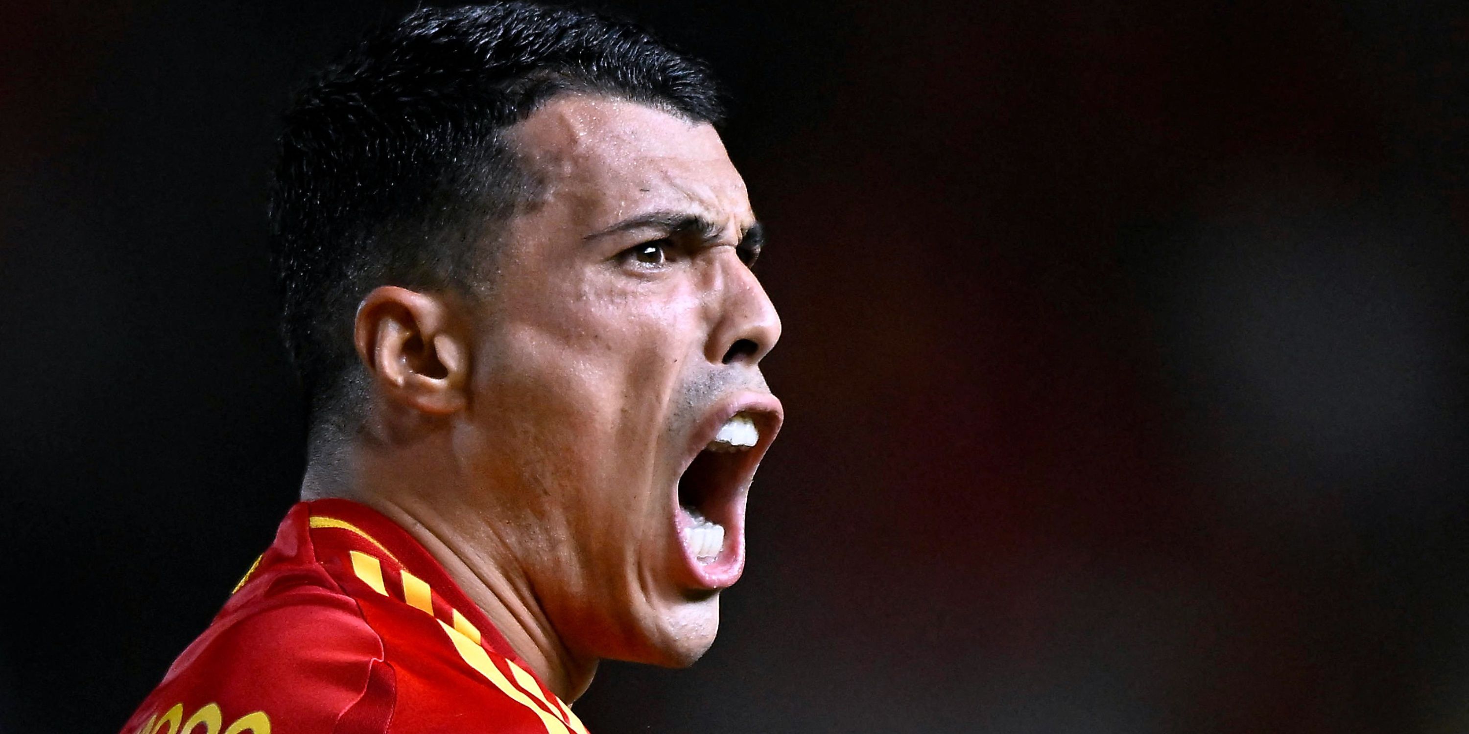 102 touches, 17 duels won: Spurs ace was superb for his country