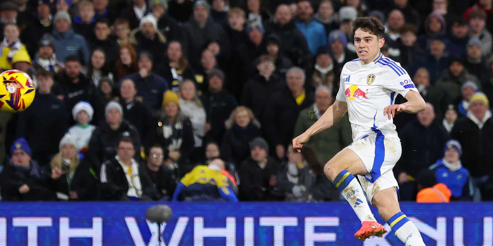 Their next Chris Wood: Leeds step up move to land “ball-striking monster”