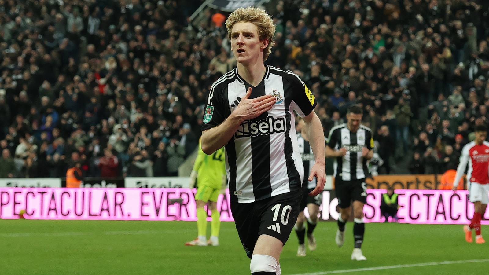 More assists than Gordon: Newcastle plotting move to sign "terrific" star