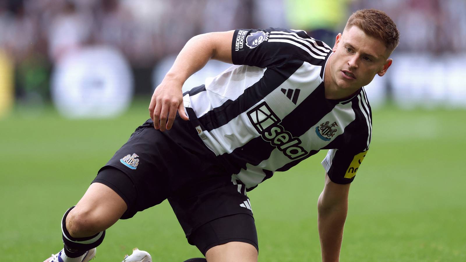 Barnes replacement: Newcastle's 18-year-old prodigy will "go to the top"