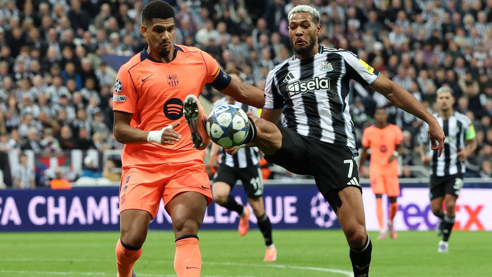 £870m release clause: Chelsea join race to sign "top class" Liverpool ...