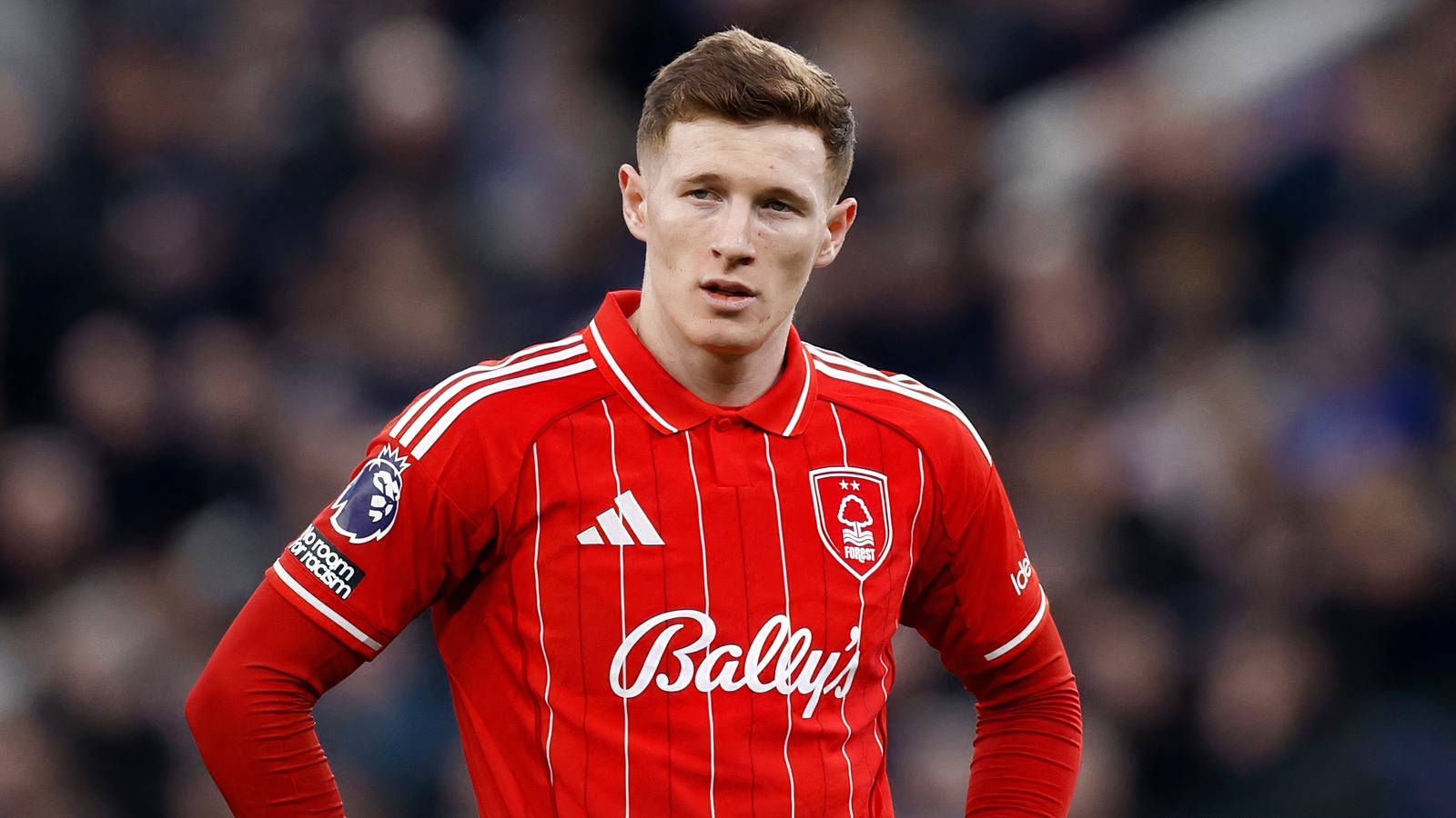 The next Anderson: Newcastle make "superb" £52m star their top target