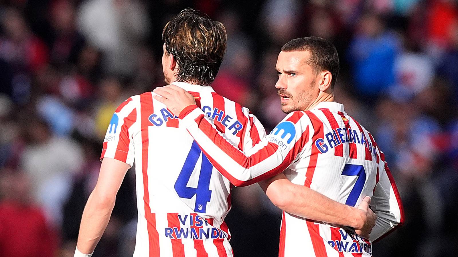 Man Utd now chasing Conor Gallagher as INEOS' position in race becomes ...